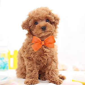 Orange Wired Burlap Ribbons 2.5" 10 Yards, Spring Solid Wired Edge Decoration Wired Ribbon Fabric Craft Ribbon Burlap Wrapping Ribbon for Holiday Party Wrapping DIY Craft Wedding Decoration Wreath Bow