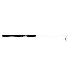 PENN Carnage III Inshore Spinning Fishing Rod