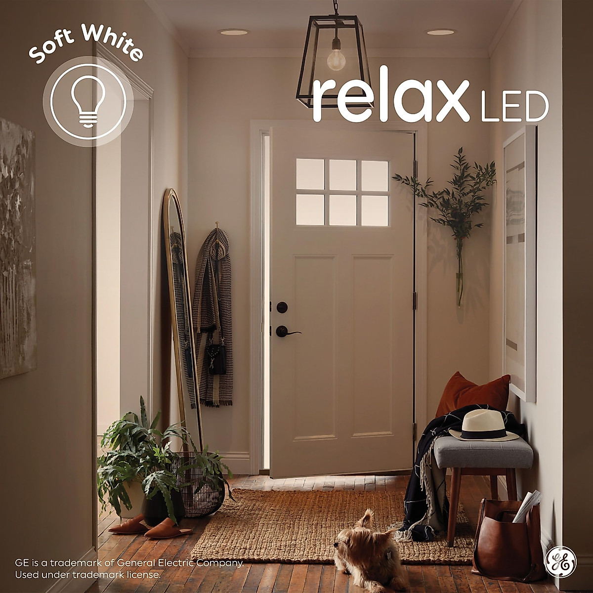 GE Relax LED Light Bulbs 60W, Soft White Candle Lights, Decorative Light Bulbs, Frosted, Small Base (8 Pack)