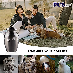 PCS Pet Memorial Cremation Urns for Dogs and Cats Ashes, Dog Keepsake Urns for Ashes with Paw Prints-Small