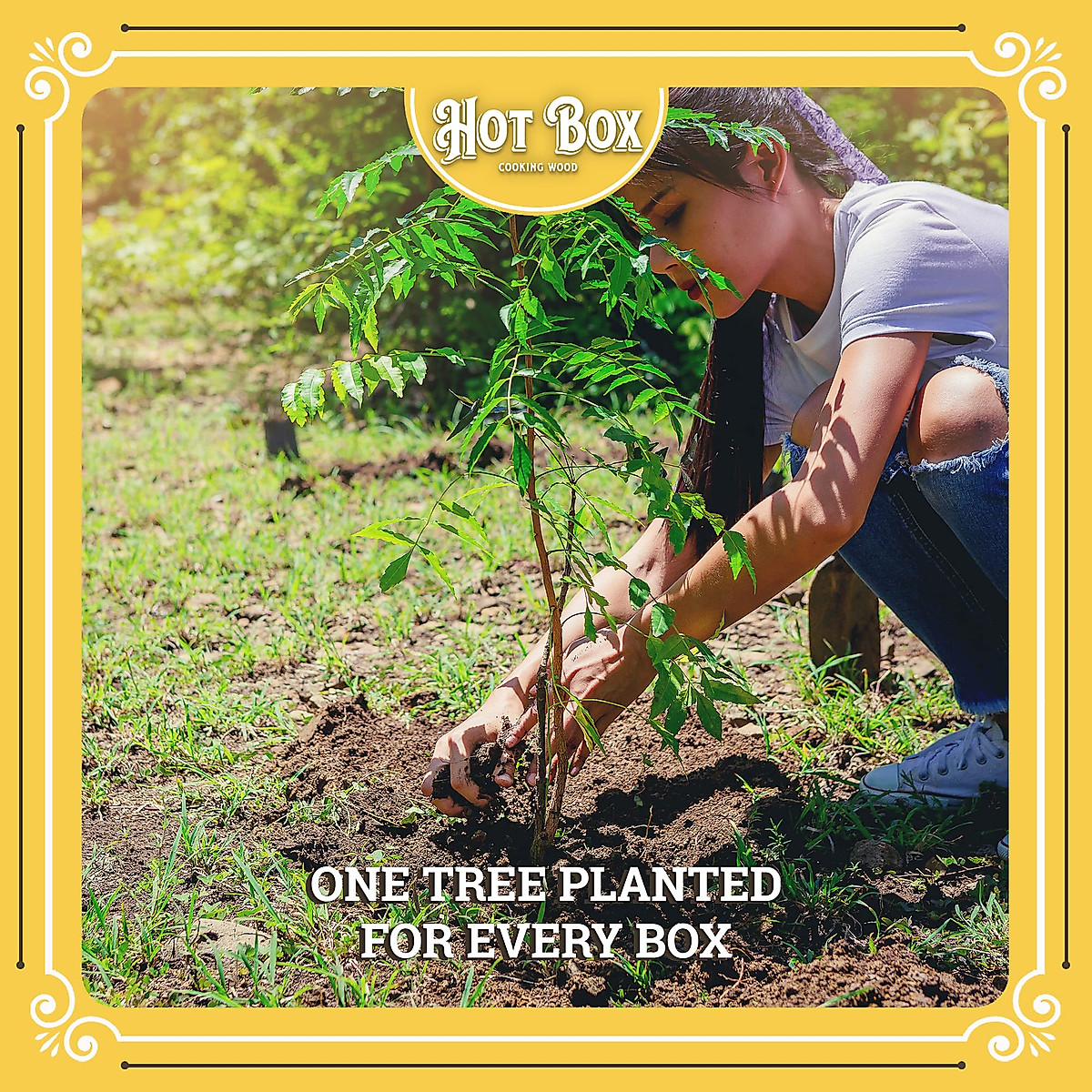 HOT BOX Kiln-Dried Oak Cooking Wood - 8 Inch Cut Logs For Portable Wood-Fired Pizza Ovens and Smokers, 1 Box (1300 Cubic Inches)