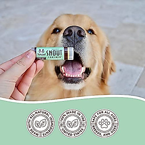 Natural Dog Company Snout Soother Dog Nose Balm, Travel Stick, 0.15 oz, Dog Balm for Paws and Nose, Moisturizes & Soothes Dry Cracked Noses, Plant Based Nose Cream for Dogs