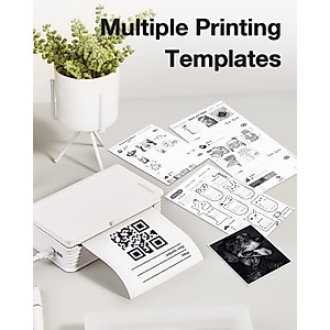 paperang Bluetooth Label Printer, 300 dpi Thermal Label Printer, C1S Portable Pinter Supports 2/3/4-Inch (57/80/110mm) Thermal Printer Supports Shipping Labels, Barcode Labels, Household Labels, etc