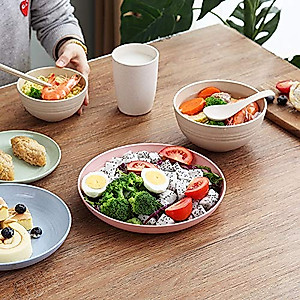Kota Japan Wheat Straw Fiber Unbreakable Tableware 8.8” Plate for Dinner, Lunch, Breakfast for Pasta, Noodle, Salad, Dessert Dishes - Dishwasher, Microwave, Environment Safe Dinnerware 4 pc Dish Set