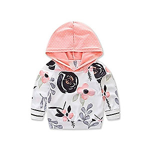 Askwind Baby Girls Floral Hoodie+ Floral Pant Set Leggings 2 Piece Outfits (12-18 Months, Pink)