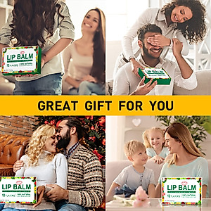 DMSKY 12 Pack Lip Balm, Natural Lip Balm Bulk with Vitamin E and Coconut Oil, Moisturizing Lip Balm for Dry Cracked Lips, Lip Balm for Stocking Stuffers - 12 Flavors