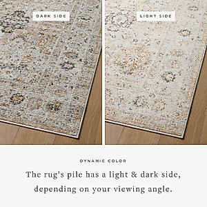 Loloi II Monroe Collection MON-02 Beige/Multi 6'-7" x 9'-3" Area Rug