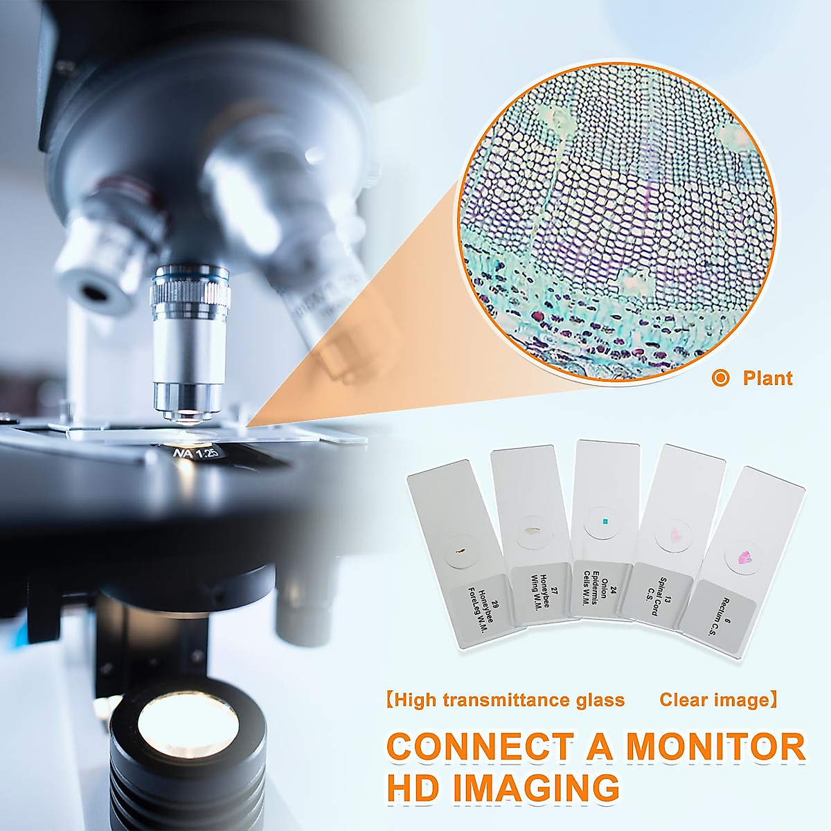 HUAREW 30 Pcs Microscope Slides with Specimens for Kids, Glass Prepared Slides Set for Microscope Accessories, Biology Gifts and Basic Science for Kid Education