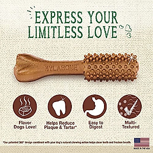 Nylabone Nutri Dent Dog Dental Treats - Natural Dog Teeth Cleaning & Breath Freshener - Dental Treats for Dogs - Filet Mignon Flavor, Medium (40 Count)