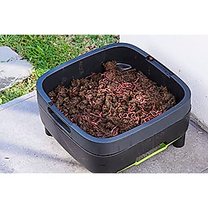 MAZE Two Level Worm Farm Compost Bin