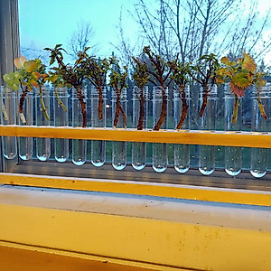 25PCS Test Tubes,40ml Clear Plastic Test Tubes with Screw Caps,25x140mm Tube for Sample,Science Party,Gumball,Candy,Bath Salts