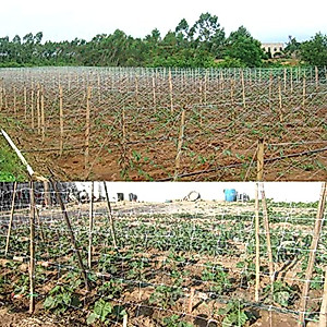 HHTHH White Trellis Netting 5x100 ft Heavy Duty Garden Trellis Netting Polypropylene Plant Support Garden Net for Climbing Vegetables Fruits Flowers