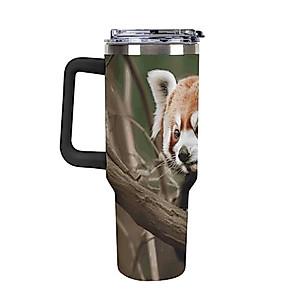 FJWKLRBV Red Panda on Tree Branch 40 Oz Water Bottle, Stainless Steel Tumbler with Handle And Straw, Extra Large Insulated Tumbler, Flip Straw Tumblers for Sports, Work, Car, Travel And Weekends