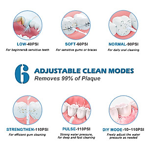 Water Flosser and Ultrasonic Electric Toothbrush Combo + 4 Pack Replacement Toothbrush Heads Compatible with ANWIEL