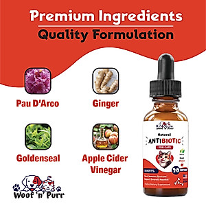 Natural Cat Antibiotic - Antibiotics for Cats - Pet Antibiotics - Cat Antibiotics - Cat Allergy Relief for Cats - Antibiotic for Cats - Cat UTI Antibiotics - 1 fl oz: Roast Chicken Flavor