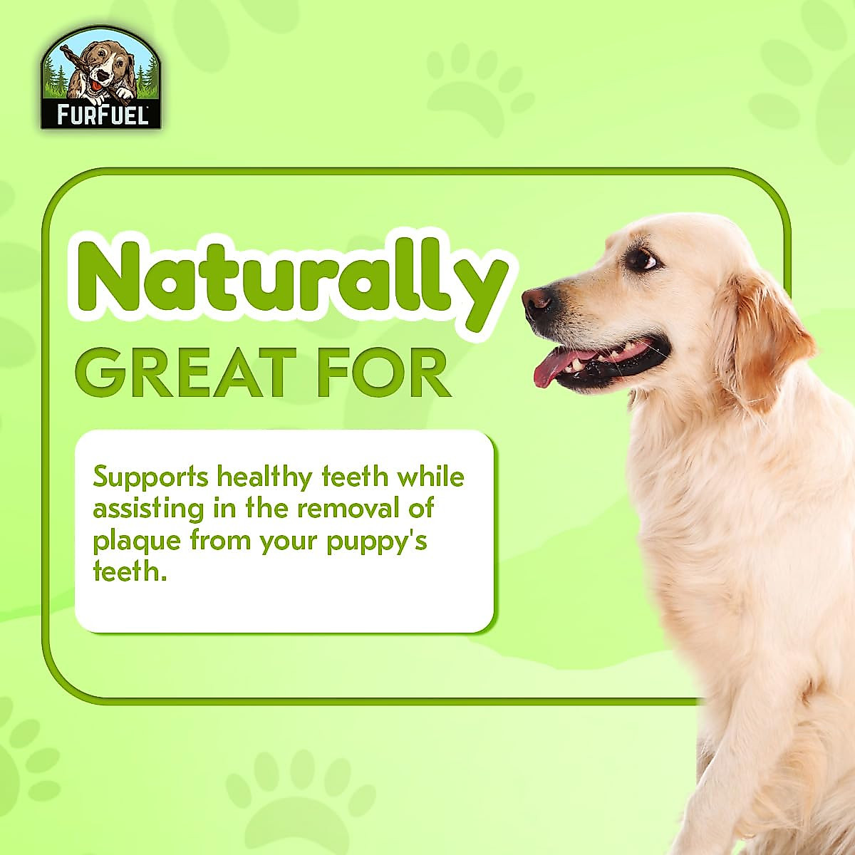 FURFUEL Yak Cheese Himalayan Dog Chews, (6 Counts Large) Long-Lasting Treats for Large & Medium Breeds Yak Chews Made with Pure Natural Ingredients, Perfect Dog Chews for Aggressive Chewers