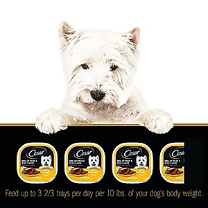 CESAR Soft Wet Dog Food Classic Loaf in Sauce Grilled Steak and Eggs Flavor, Easy Peel Trays, 3.5 Ounce (Pack of 24)