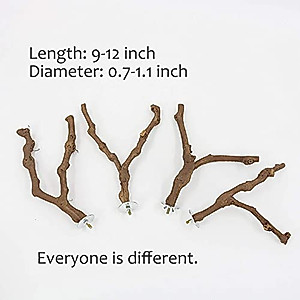 kathson Parrot Perch Stand Bird Cagestand Pole Natural Wild Grape Stick Grinding Paw Cage Accessories for Parakeet Cockatiels Budgies Conure Lovebirds Platform