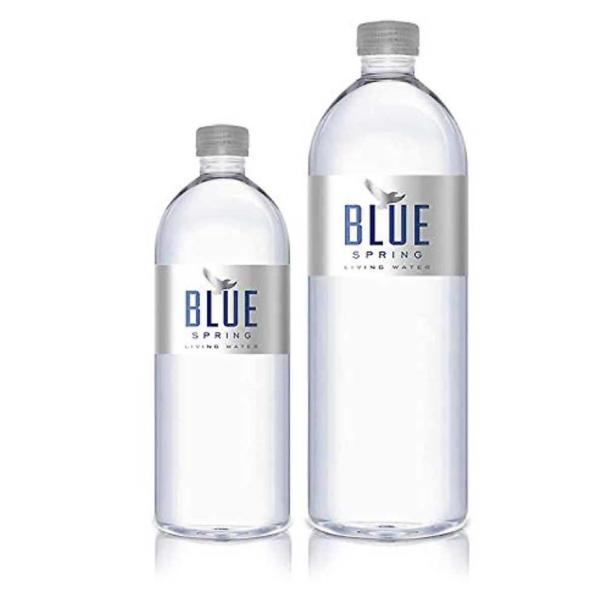 Blue Spring Living Water, Pure Premium Natural Spring Water, pH balance of 7.1-7.2, Bottled Spring Water, 16.9 Fl Oz, (Pack of 12)