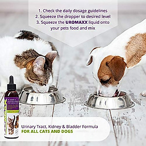 UroMAXX Urinary Tract, Kidney & Bladder Formula for Cats and Dogs, 6 oz Bottle. Premium Pack