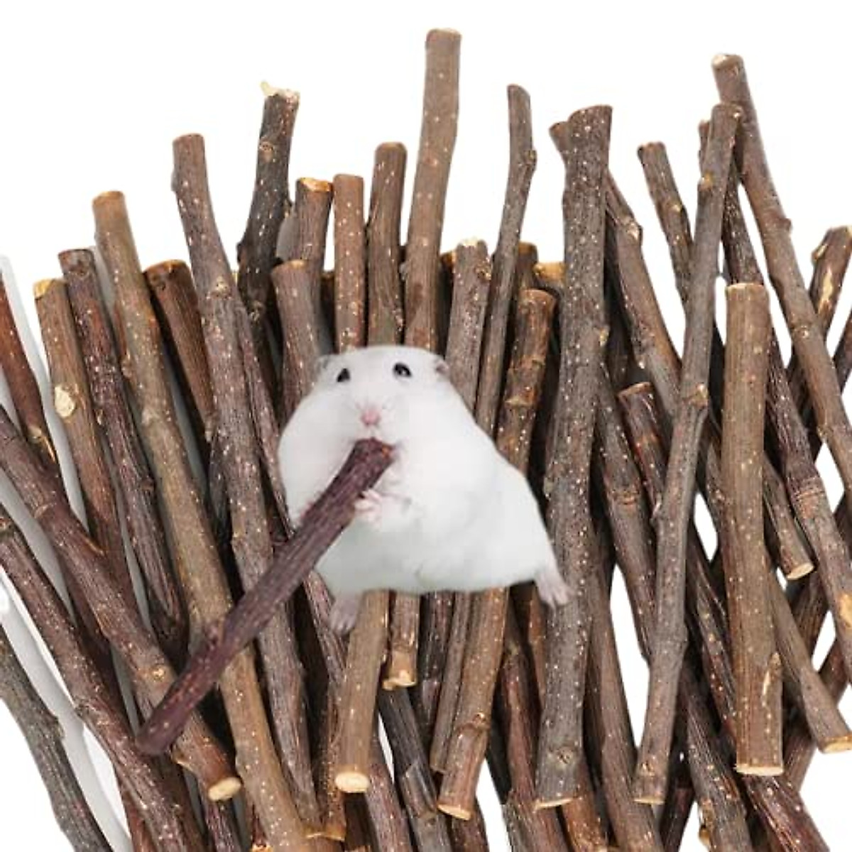 Barn Eleven 100g/0.22lb Natural Apple Sticks, Treats Food for Small Animals, Chew Toys for Chinchilla Guinea Pigs Rabbit Squirrel Hamster Bunny (100g/0.22lb)