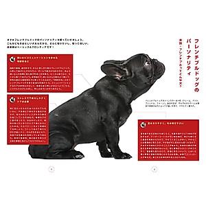 BUHI MANIACS vol.4 フレンチブルドッグの教科書 (BUHI MANIACS vol. 4)