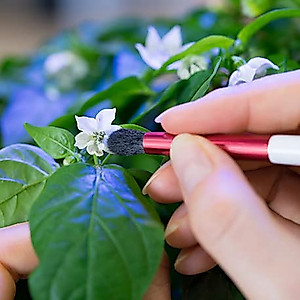 Veritable Garden Pollination Brush