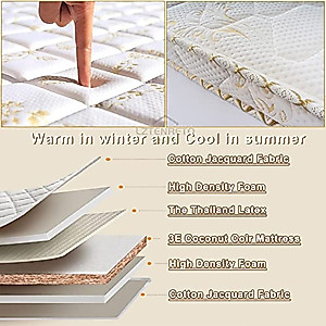 LZTENRETO Firm Coir Mattress, 3E Coconut Coir Mattress Pad, Quiet Coconut Palm Mattress, Thick Coir Mattress Pad in 6cm,9cm,11cm, Foldable (White-B,Queen 9cm)