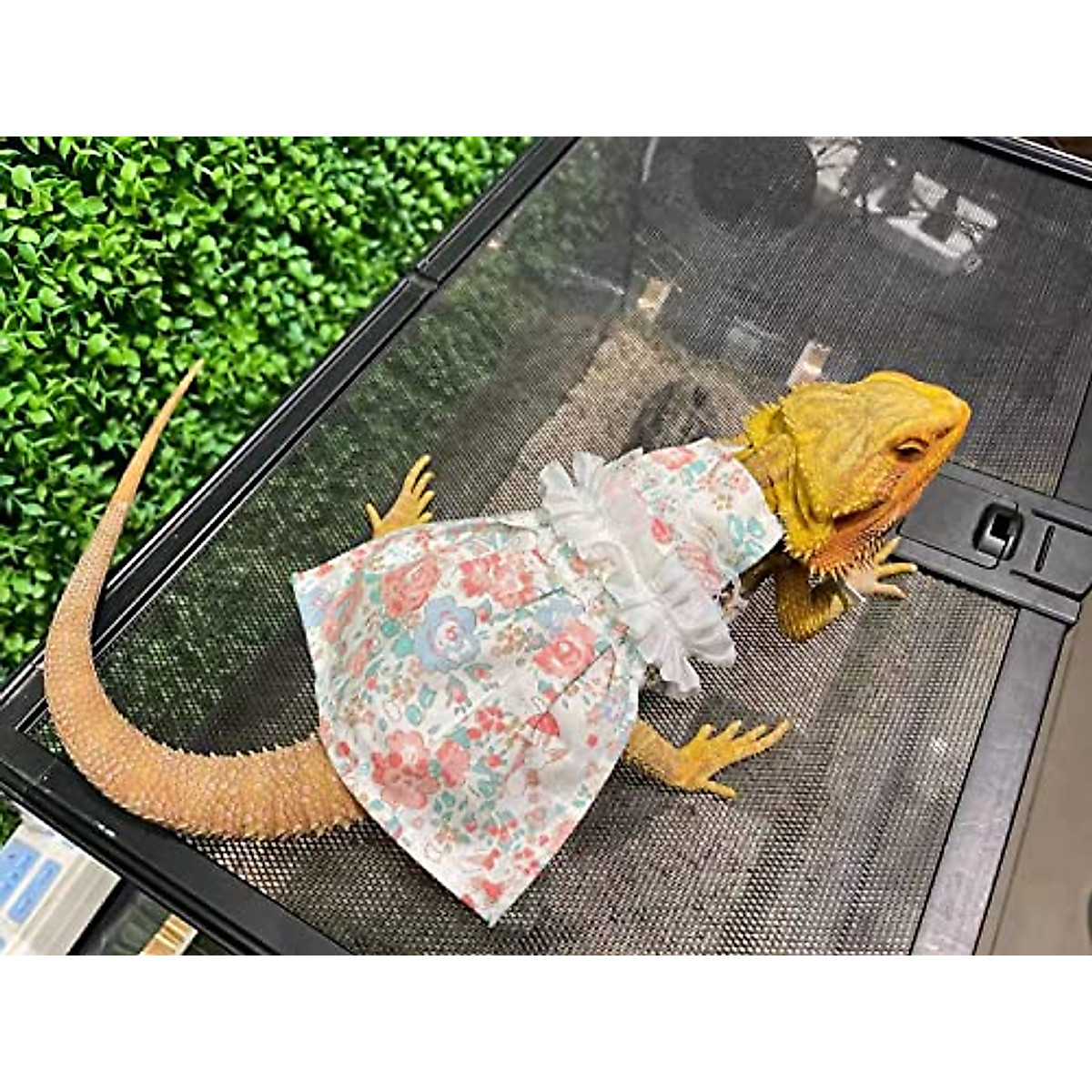 Lizard Dress for Bearded Dragon - Handmade Cotton Tutu Skirt with Lace Princess Sundress Halloween Costume Photo Cosplay Party for Reptile Lizard Bearded Dragon Crested Gecko Chameleon (M, Pink)