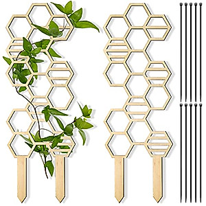 2 Pieces Wooden Small Indoor Trellis Plant Trellis for Climbing Plants Hexagon Trellis for Potted Plants Trellis Vine Supports Garden Trellises with 10 Pieces Black Cable Ties for Plant (Honeycomb)