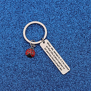 WUSUANED Good Luck Ladybug Keychain When She Swoops In It Remind Us Not Be Let Worries Cloud A Single Day Ladybug Lover Gift