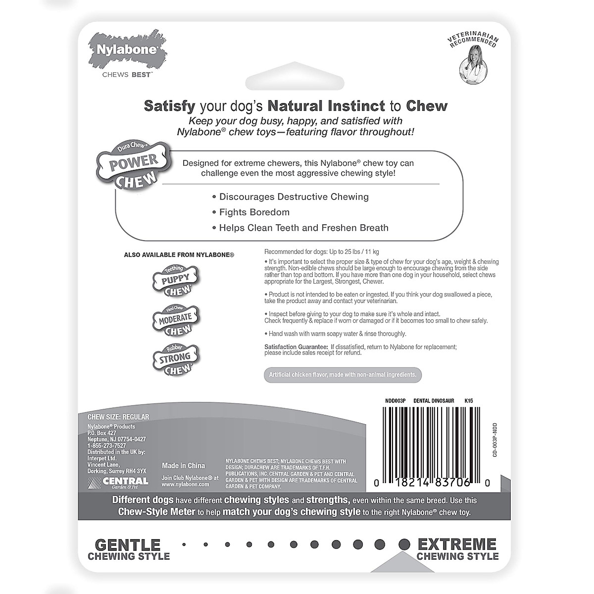 Nylabone Dental Dinosaur Power Chew Durable Dog Toy Small - Up to 25 lbs.