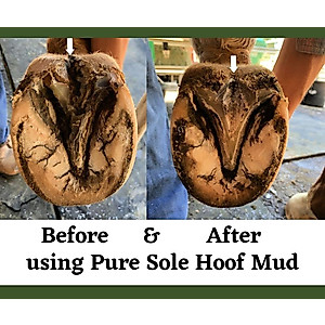Pure Sole Hoof Mud - an All Natural Hoof Clay for Horses - an Effective Horse Hoof Care Product for Thrush Treatment, White Line, and Hoof Wall Separation. Use Regularly for A Healthy Hoof - 16oz.