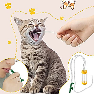 9 Pieces Puppy Feeding Tube Kit Includes 8 FR Red Rubber Kitten Feeding Tubes 10 ml Clear Feeding Tube Syringes Bulb Syringe Feeding Tools for Small Animals Pet Supplies Feeding Measuring Watering