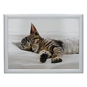 Creative Tops 'Kitten' Cushioned Bean Bag Lap Tray, 44 x 34 cm (17.5" x 13.5") - Multi-Colour