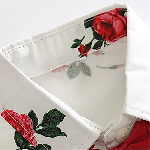 Toddler Baby Boys Rose Floral Shorts Set Short Sleeve Button Down Shirt + Shorts Pants 2 Pieces Infant Summer Clothes Outfits Red 2-3 Years