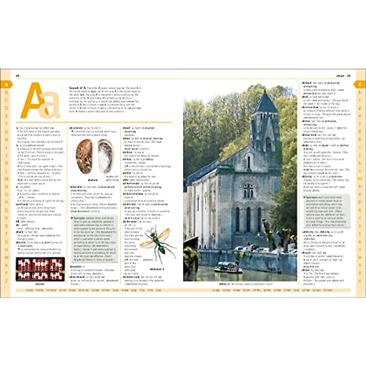 Merriam-Webster Children's Dictionary, New Edition: Features 3,000 Photographs and Illustrations