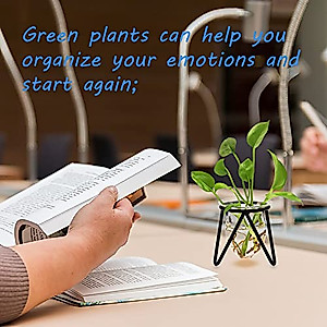 Plant Terrarium with Metal Stand, Desktop Air Planter Bulb Glass Vase for Indoor Live Hydroponics Plants Home Garden Office Decoration