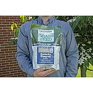 GreenView Fairway Formula Grass Seed Kentucky Bluegrass Blend - 3 lb. Bag