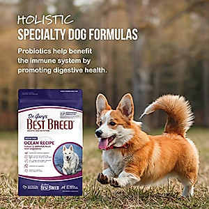 Best Breed Dr. Gary's Grain Free Ocean Recipe Slow-Cooked in USA, Natural Dry Dog Food for All Breeds and Sizes, 4lbs.