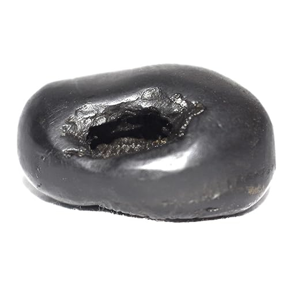 Sesha Shaligram/Shesha Salagram - Nepal