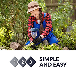 Best Solar Light SOLARPATHF2-2 10X Brightness 3000K Outdoor Solar LED Filament-Style Path Weatherproof Metal Light (4 Pack), 4-pack, Black, 4 Piece