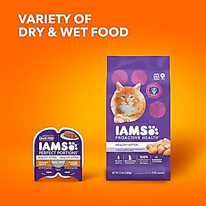 IAMS PROACTIVE HEALTH Healthy Kitten Dry Cat Food with Chicken, 7 lb. Bag