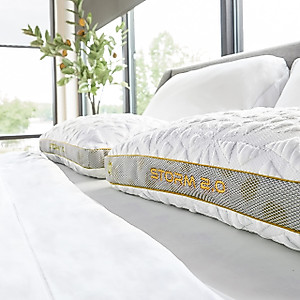 Bedgear Storm Performance Pillow - 2018 Version - Size 2.0 - Cooling Pillow for Hot Sleepers - Medium Firmness Bed Pillow for All Sleep Positions - Washable Removable Cover - 20" W x 26" L x 5.75" H