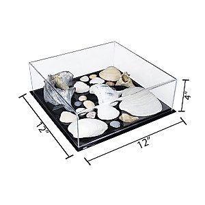 Better Display Cases Versatile Acrylic Clear Display Case - Medium Rectangle Box with Black Base 12" x 12" x 4" (A030B-BDS)