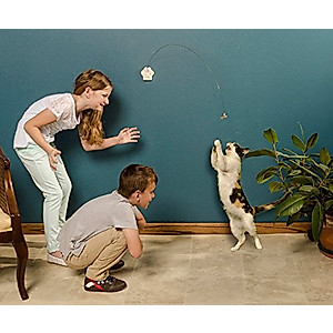 CAT DANCER Deluxe 252 Cat Toy, Medium Breeds