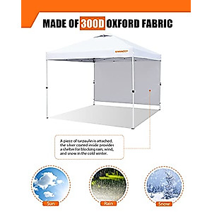 Pop Up Canopy Tent 10’ X 10’, ENGiNDOT Easy Set-Up Outdoor Canopy, Instant Canopy with Sidewall, Water Resistance Camping Canopy for Party/Exhibition/Picnic