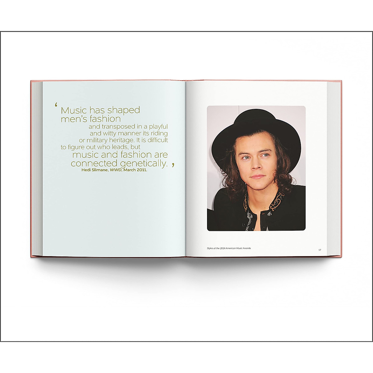 Harry Styles: And the Clothes he Wears