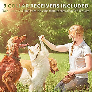 F-color Dog Training Collar 2600FT Dog Shock Collar for Large Medium Small Dogs Breed with 4 Modes Light Beep Vibration Shock Waterproof Rechargeable Shock Collar for 3 Dogs