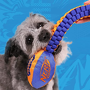 Nerf Dog Vortex Chain Tug Dog Toy with Squeaker Football Head, Lightweight, Durable, Water Resistant, 30 Inches, For Medium to Extra-Large Breeds, Single Unit (3474)